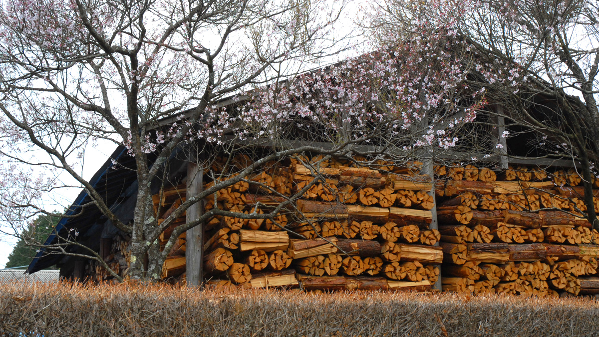 In Focus | Mashiko: The Pottery Town of Japan - We Love Clay