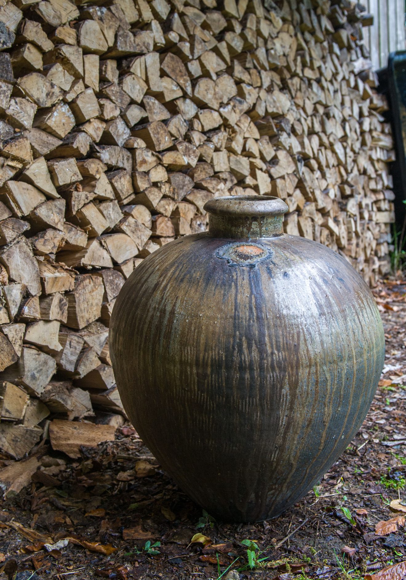 Shells in Ceramics - We Love Clay